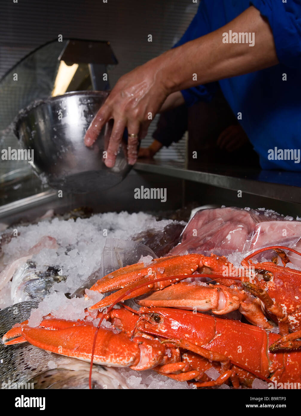 Seafood offerings hi-res stock photography and images - Alamy