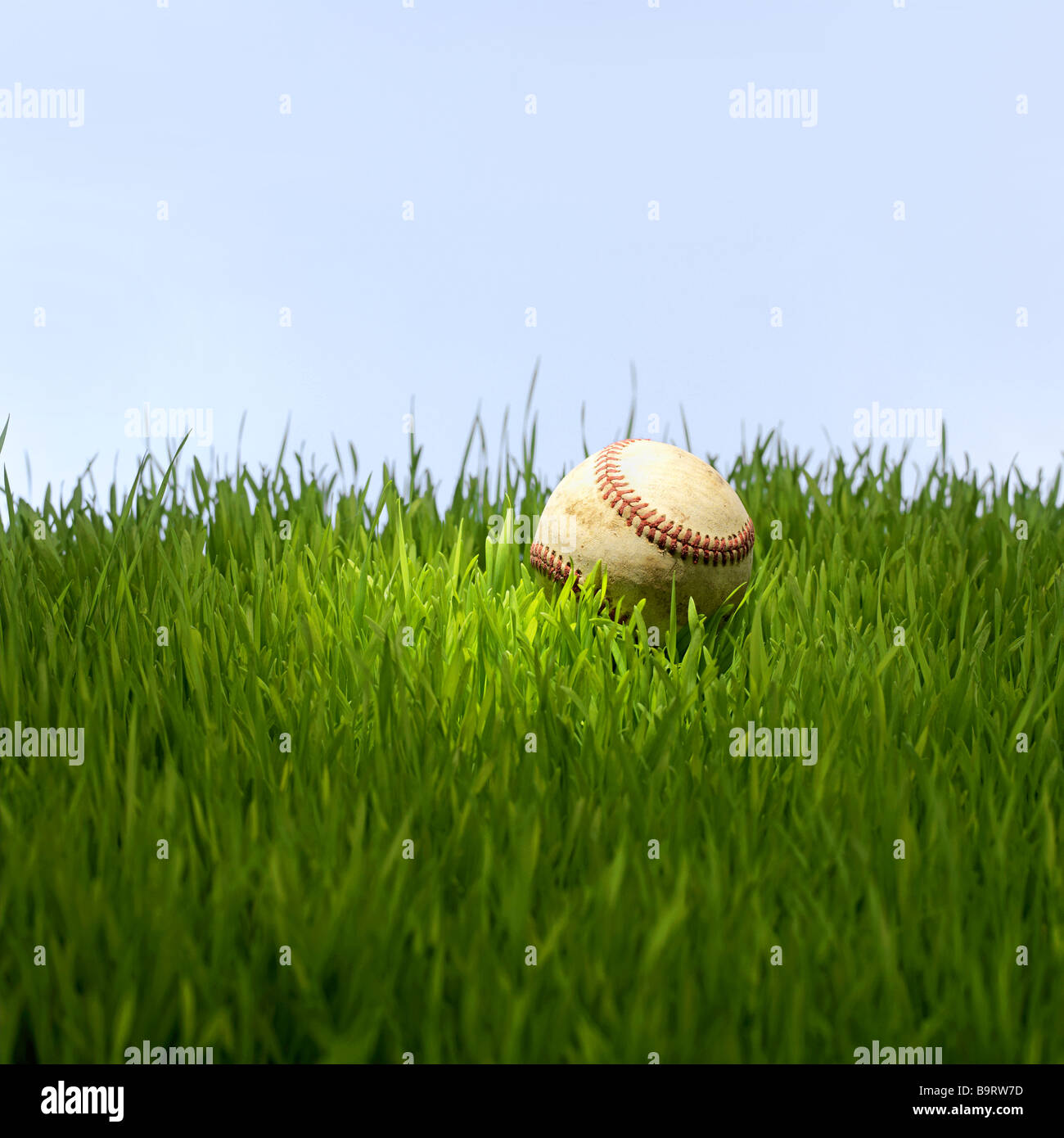 baseball sitting in green grass of outfield with clear blue sky Stock ...