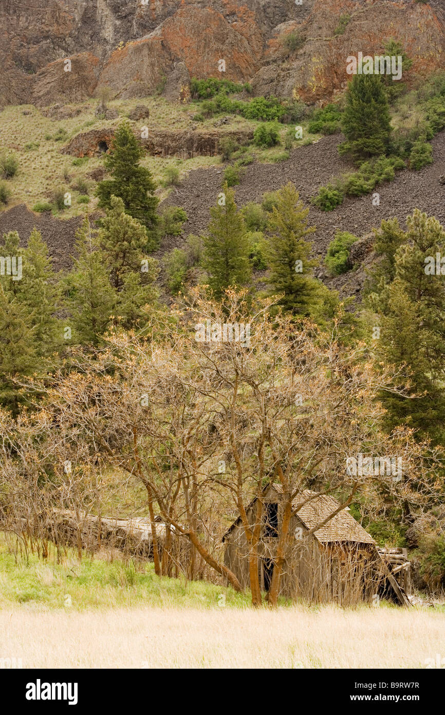 Northrup Canyon Trail - Steamboat Rock State Park, Washington Stock ...