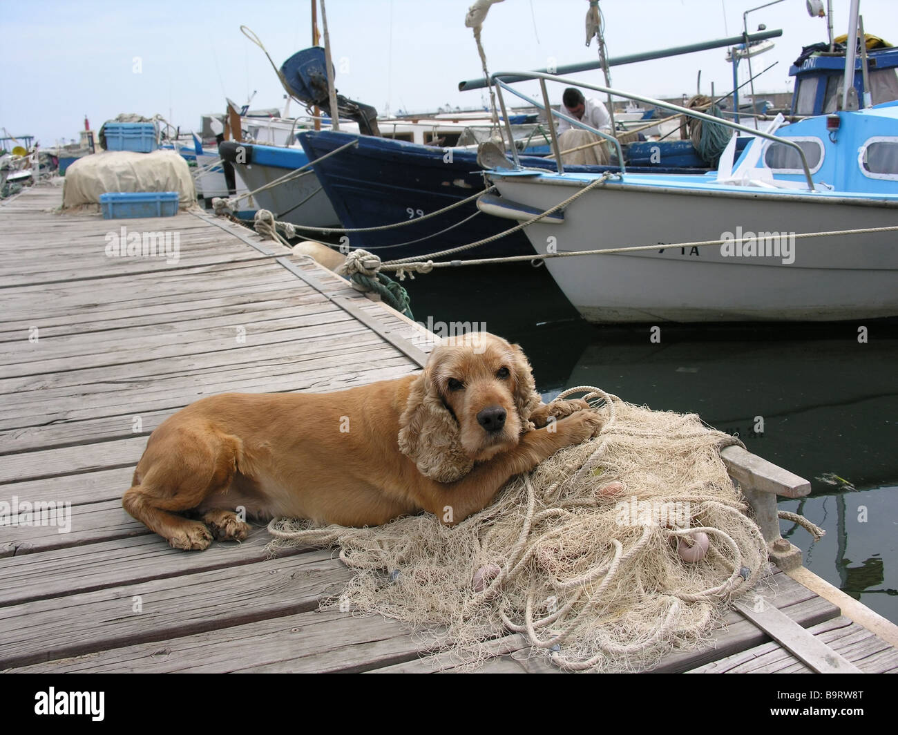 Hairy waves hi-res stock photography and images - Alamy
