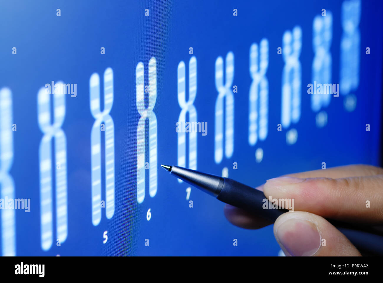 finger with ballpoint pen showing science graph on screen Stock Photo ...