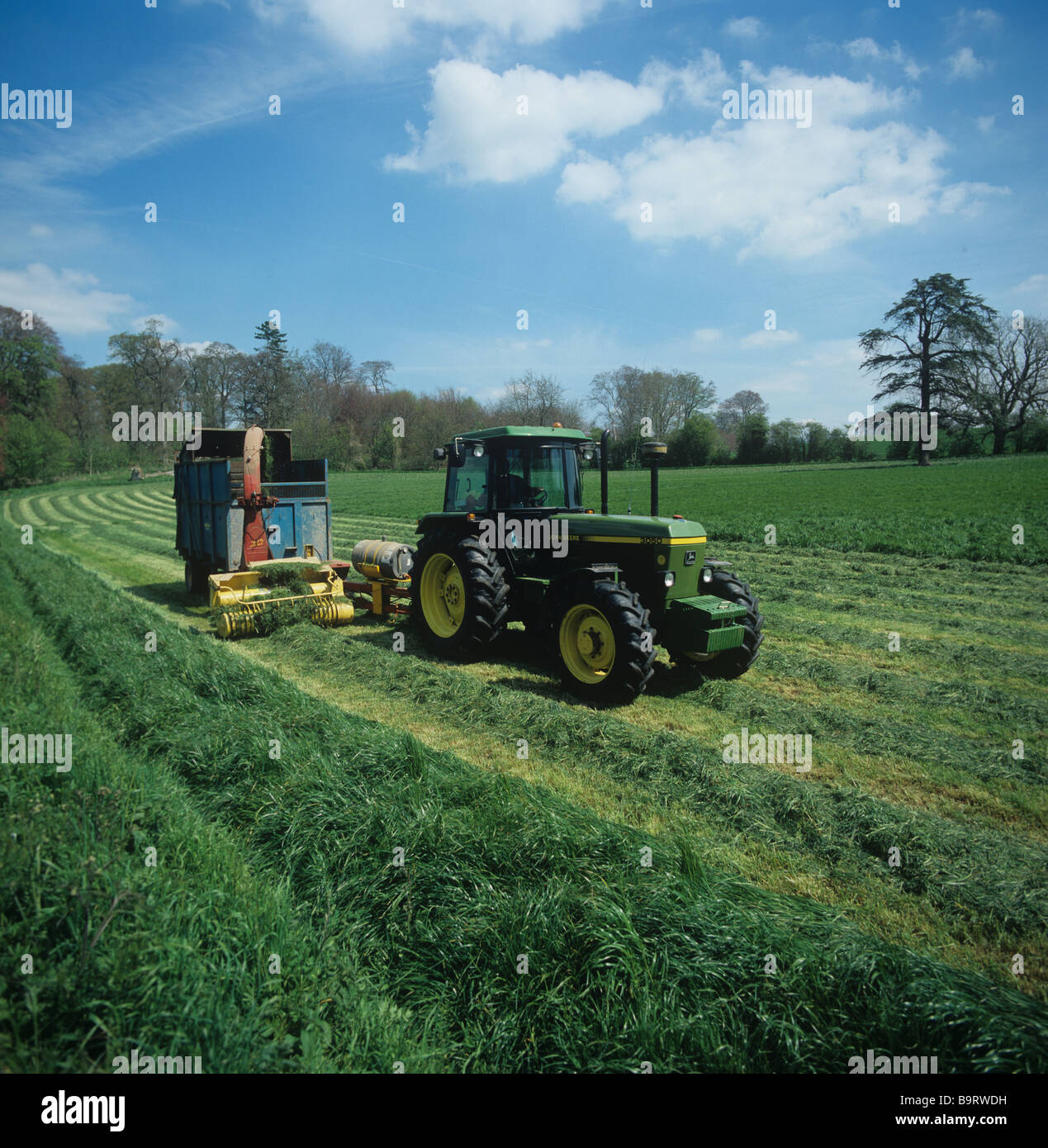 Tractor and forager collecting grass cut for silage Hampshire on a fine ...