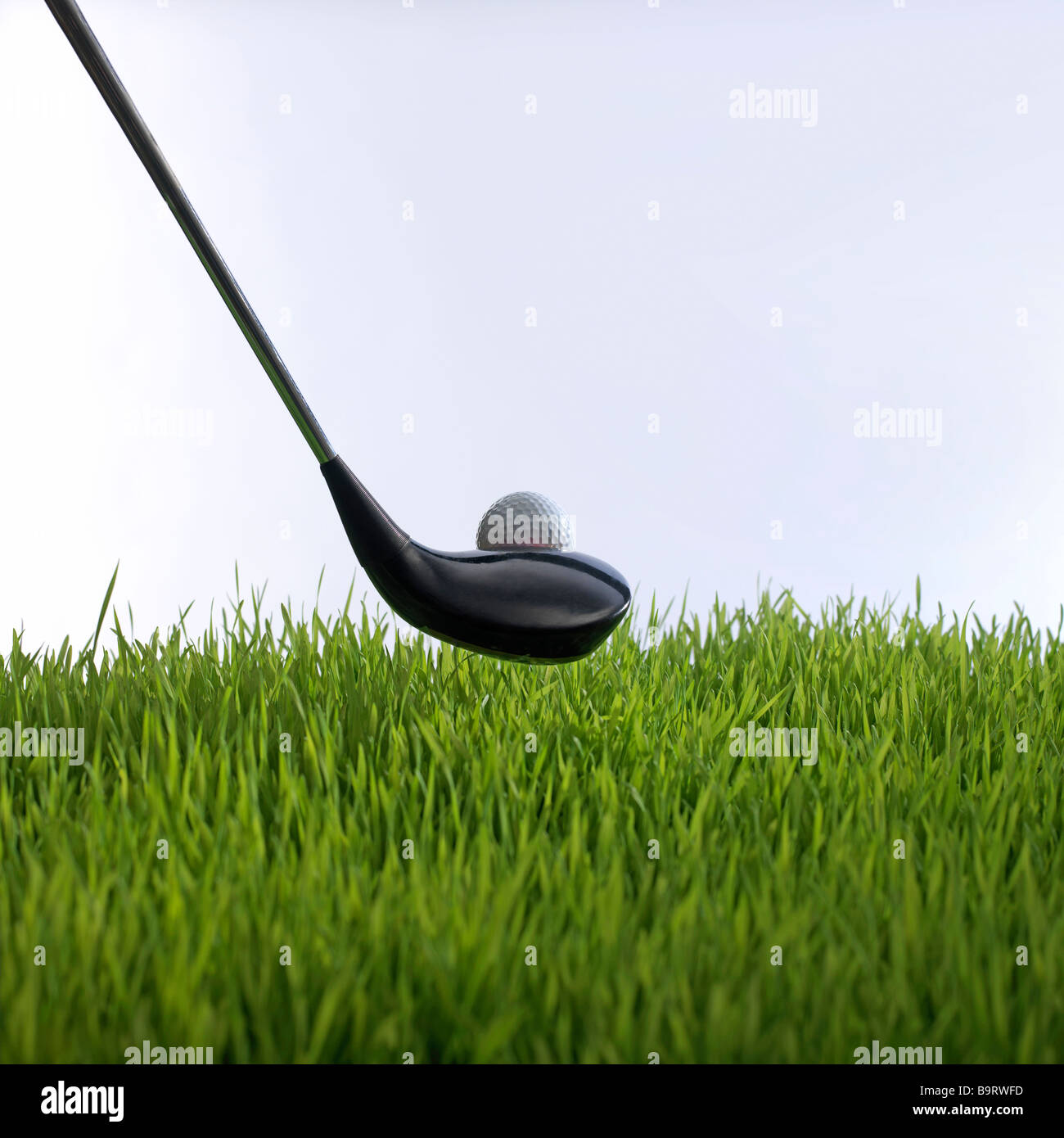 golf club teeing off in grass with golf ball Stock Photo - Alamy