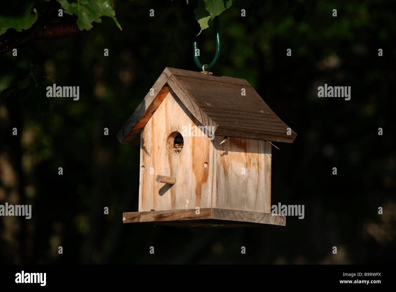 Birdhouse hanging in tree Stock Photo - Alamy