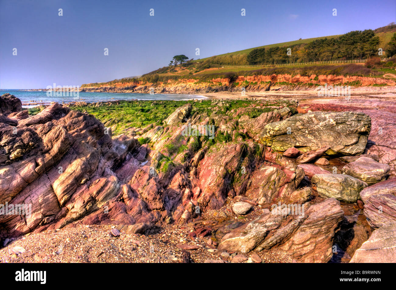 Wembury Bay, Devon Stock Photo - Alamy