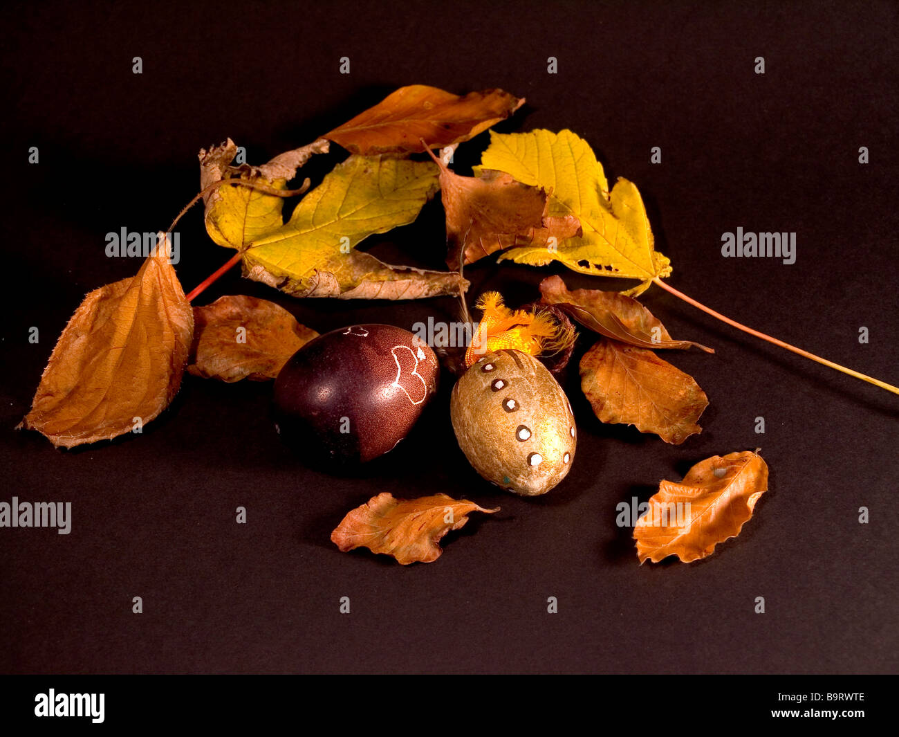 Fall tableau hi-res stock photography and images - Alamy