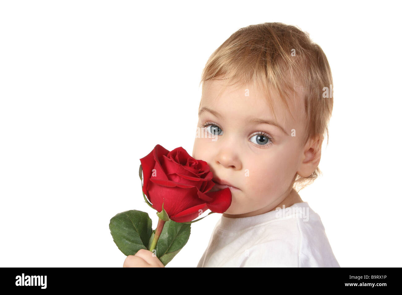 Baby and rose hi-res stock photography and images - Alamy