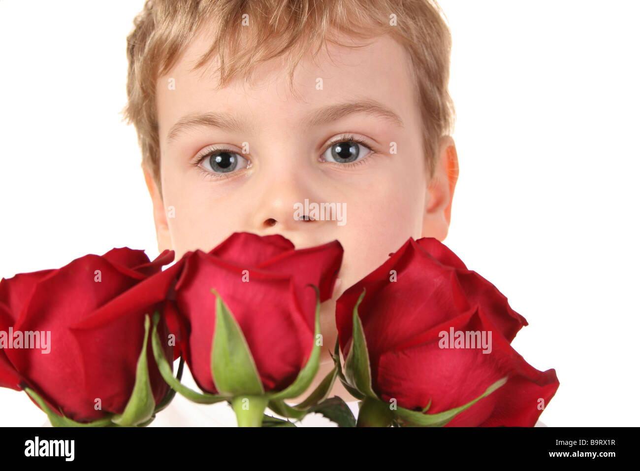 boy with roses Stock Photo - Alamy