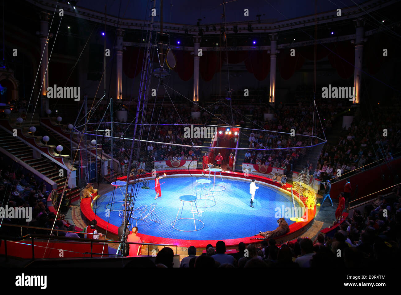 Circus show tiger tamer hi-res stock photography and images - Alamy