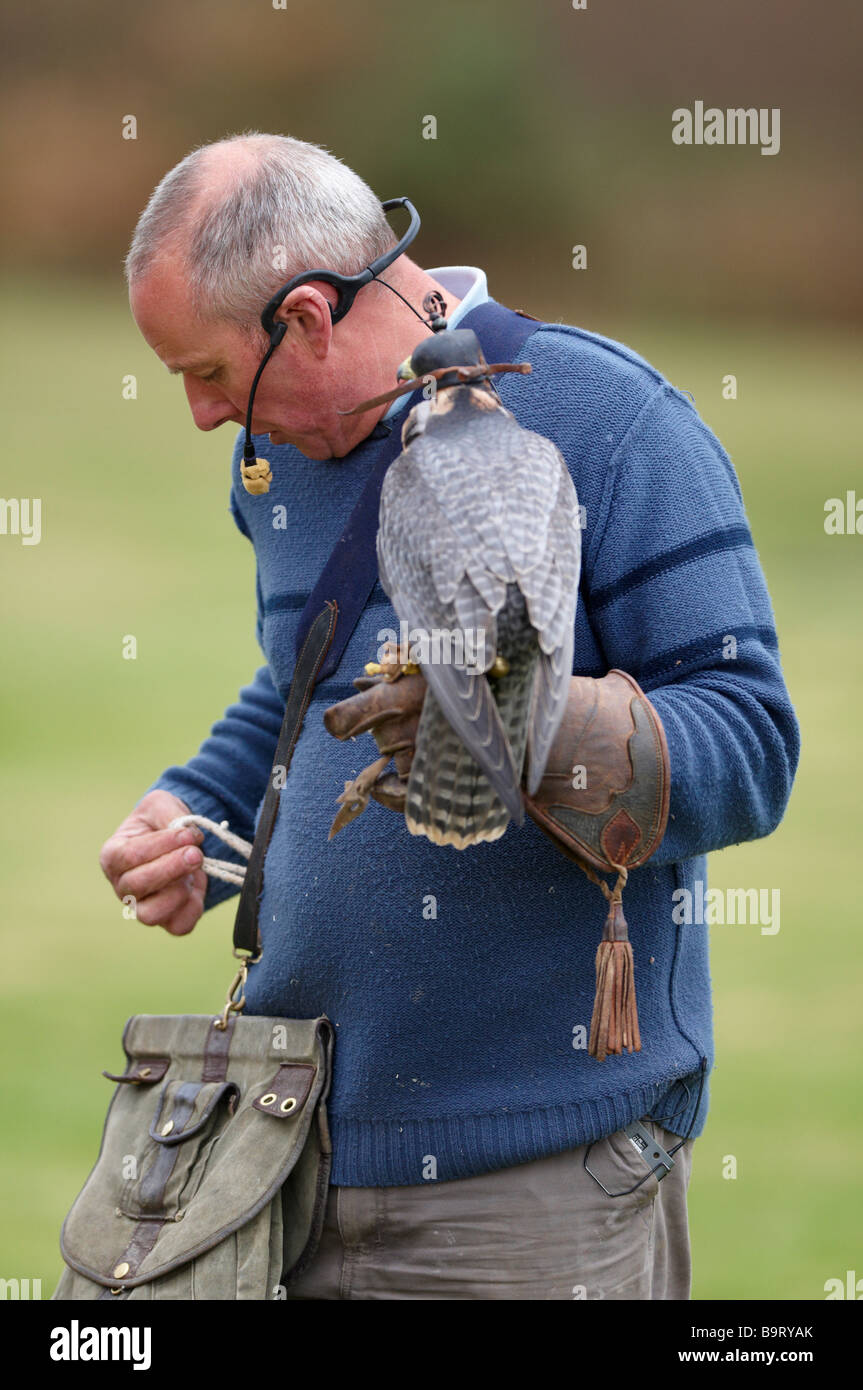 Handler and bird of prey International Centre for Birds of Prey Newent ...