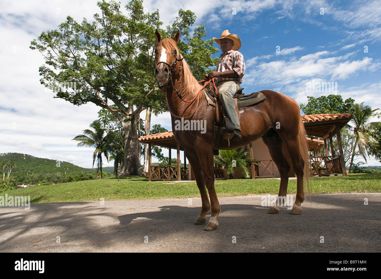 A Cuban cowboy sits atop his horse Stock Photo - Alamy