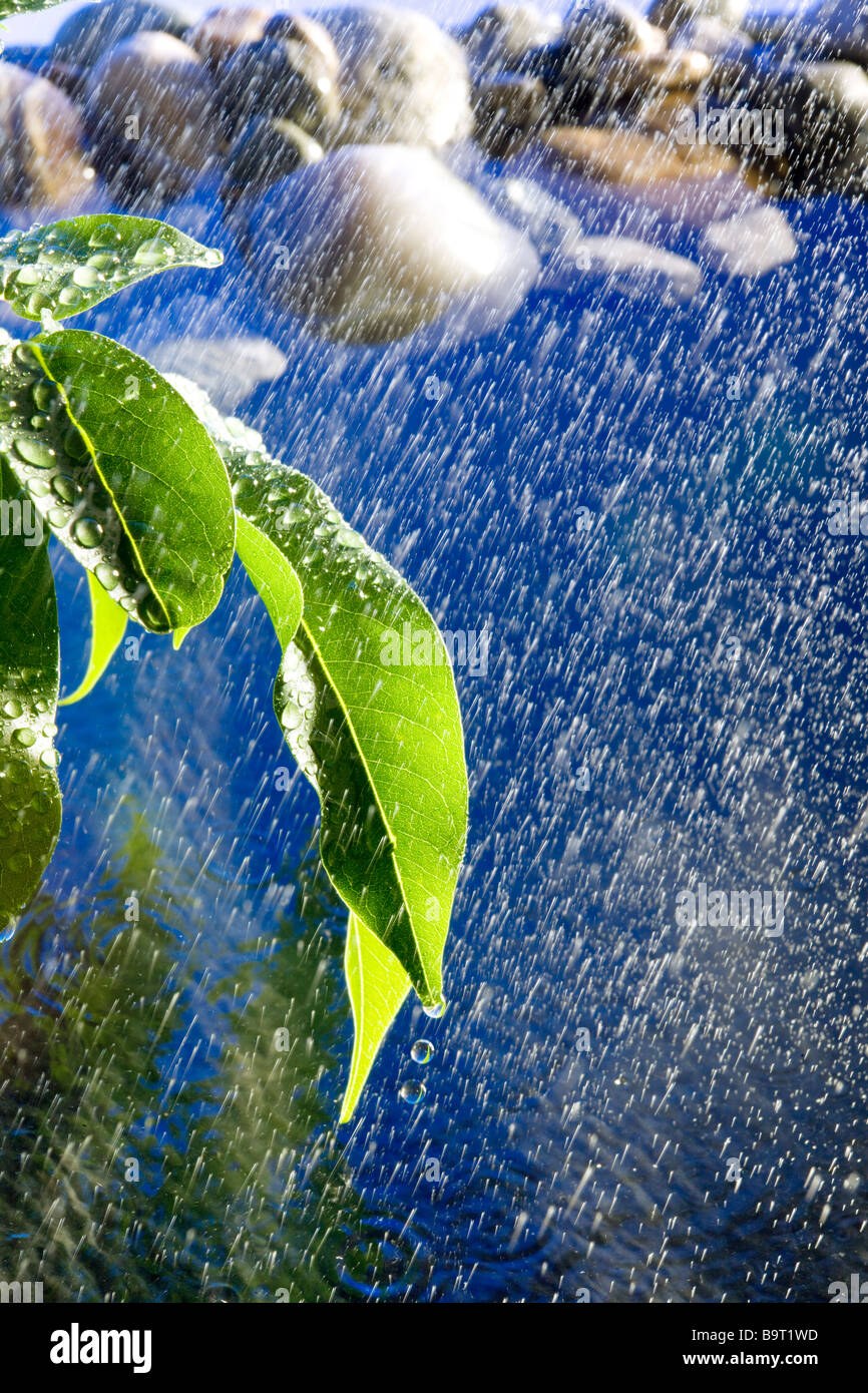 drizzle, scenery with artificial see, cobbles and leaves Stock Photo ...
