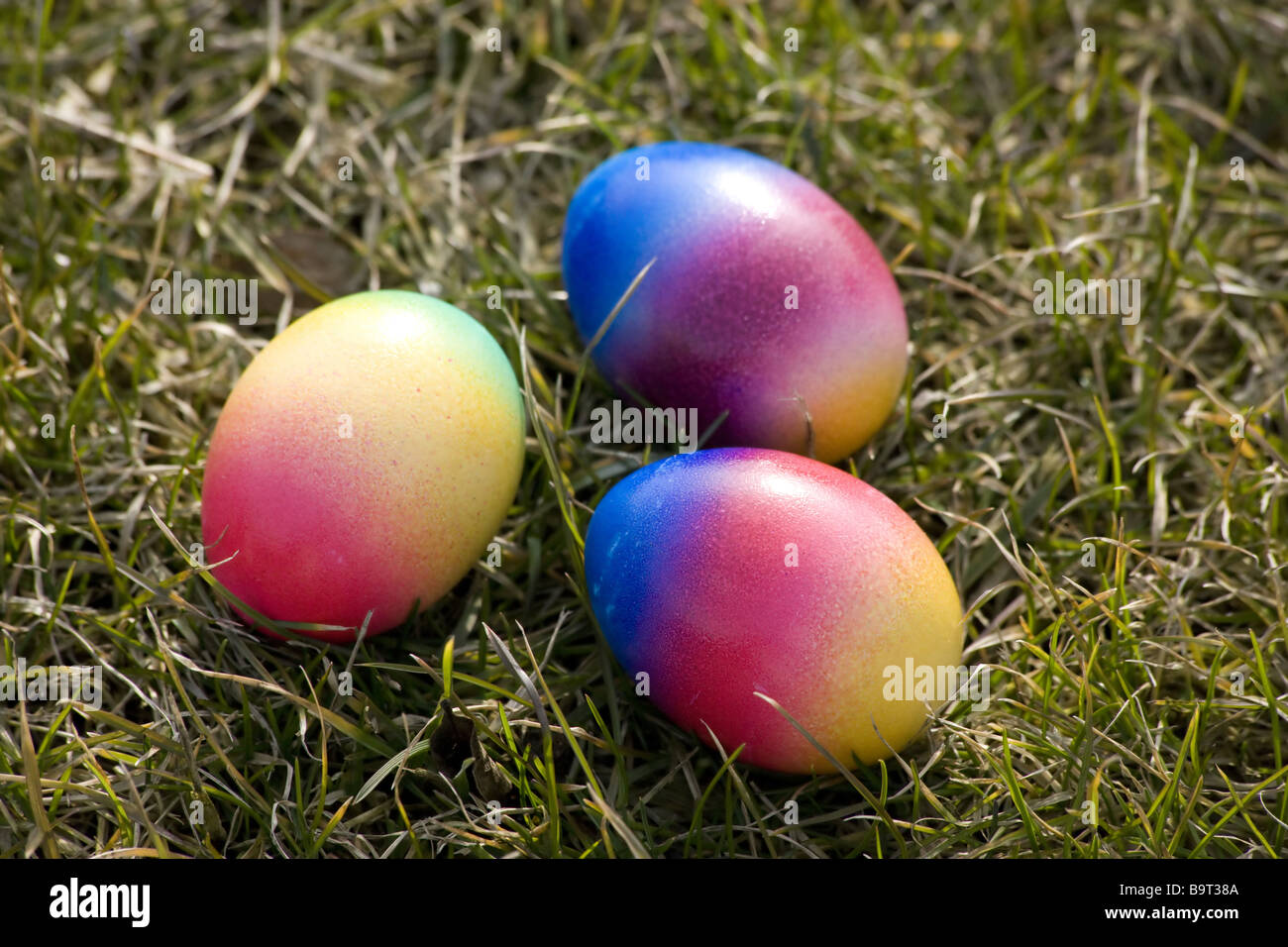 colored easter eggs in green grass Stock Photo - Alamy
