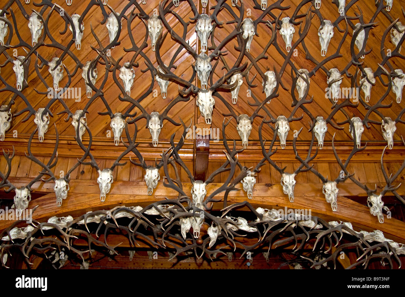 Mar lodge ballroom hi-res stock photography and images - Alamy