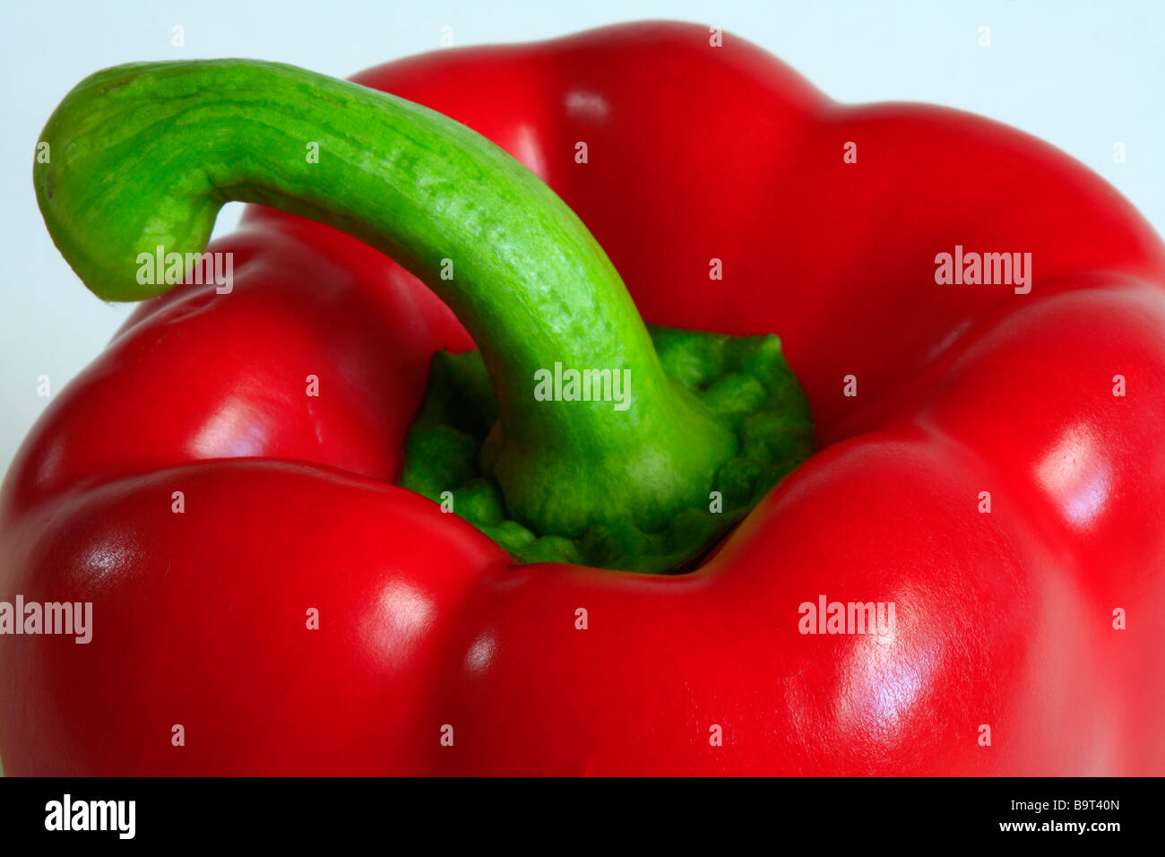 A close up of a red capsicum pepper Stock Photo - Alamy