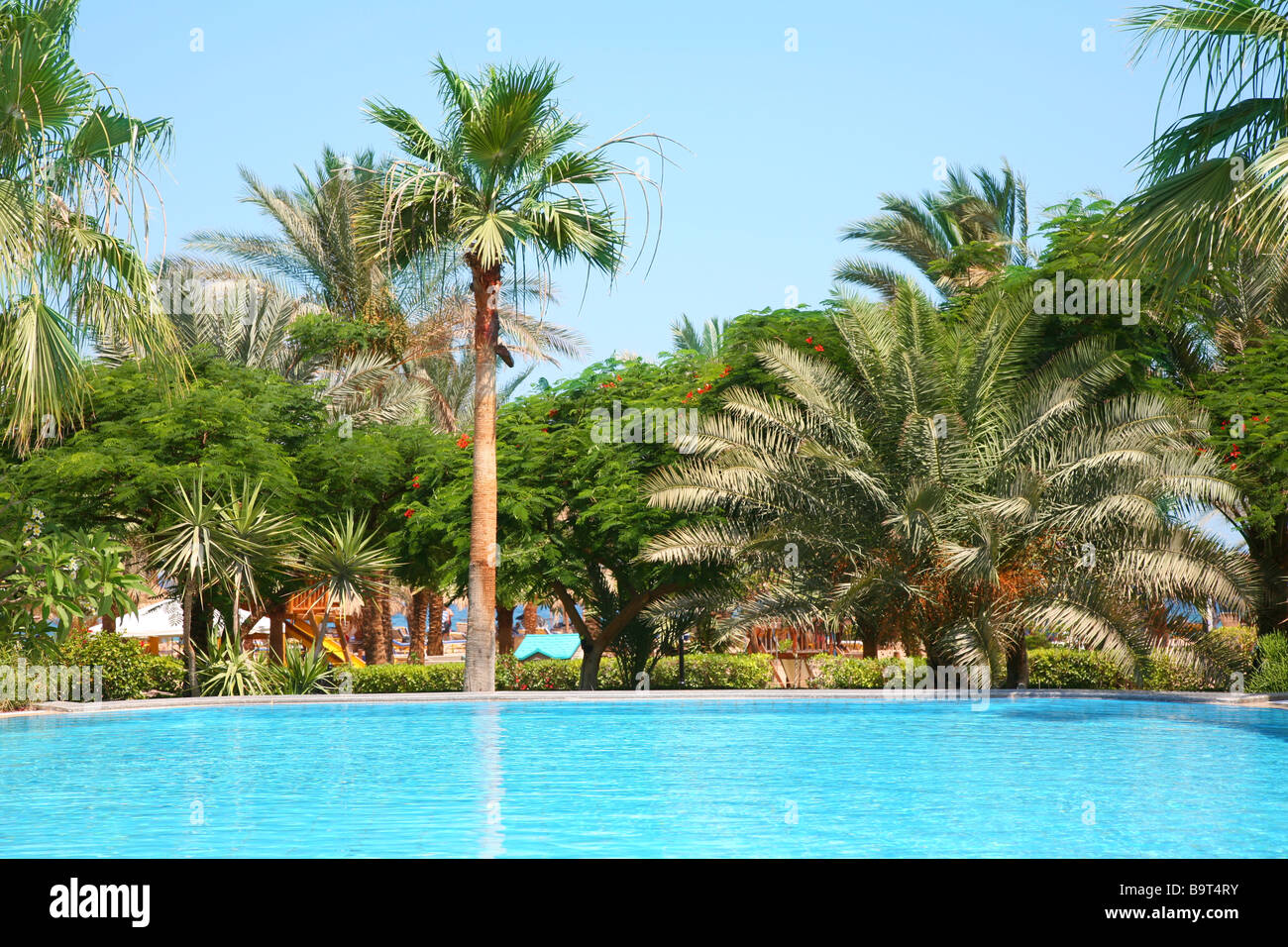 Pool gardens paradise beach hi-res stock photography and images - Alamy