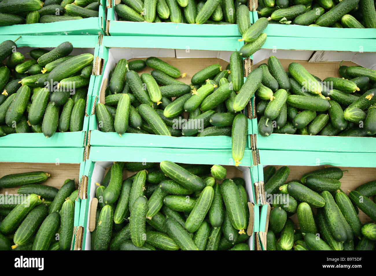 Agriculture farm large abundance hea hi-res stock photography and ...