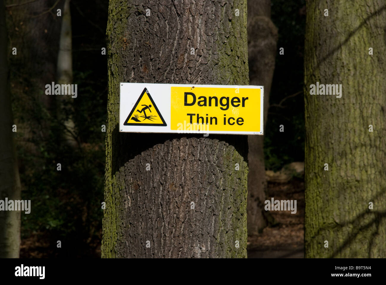 danger thin ice lake notice warning sign park tree wood bark wimbledon ...