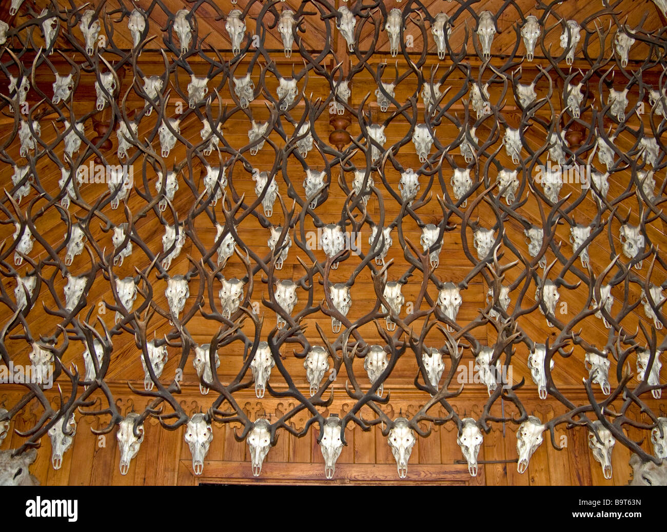 Ghillies ball hi-res stock photography and images - Alamy