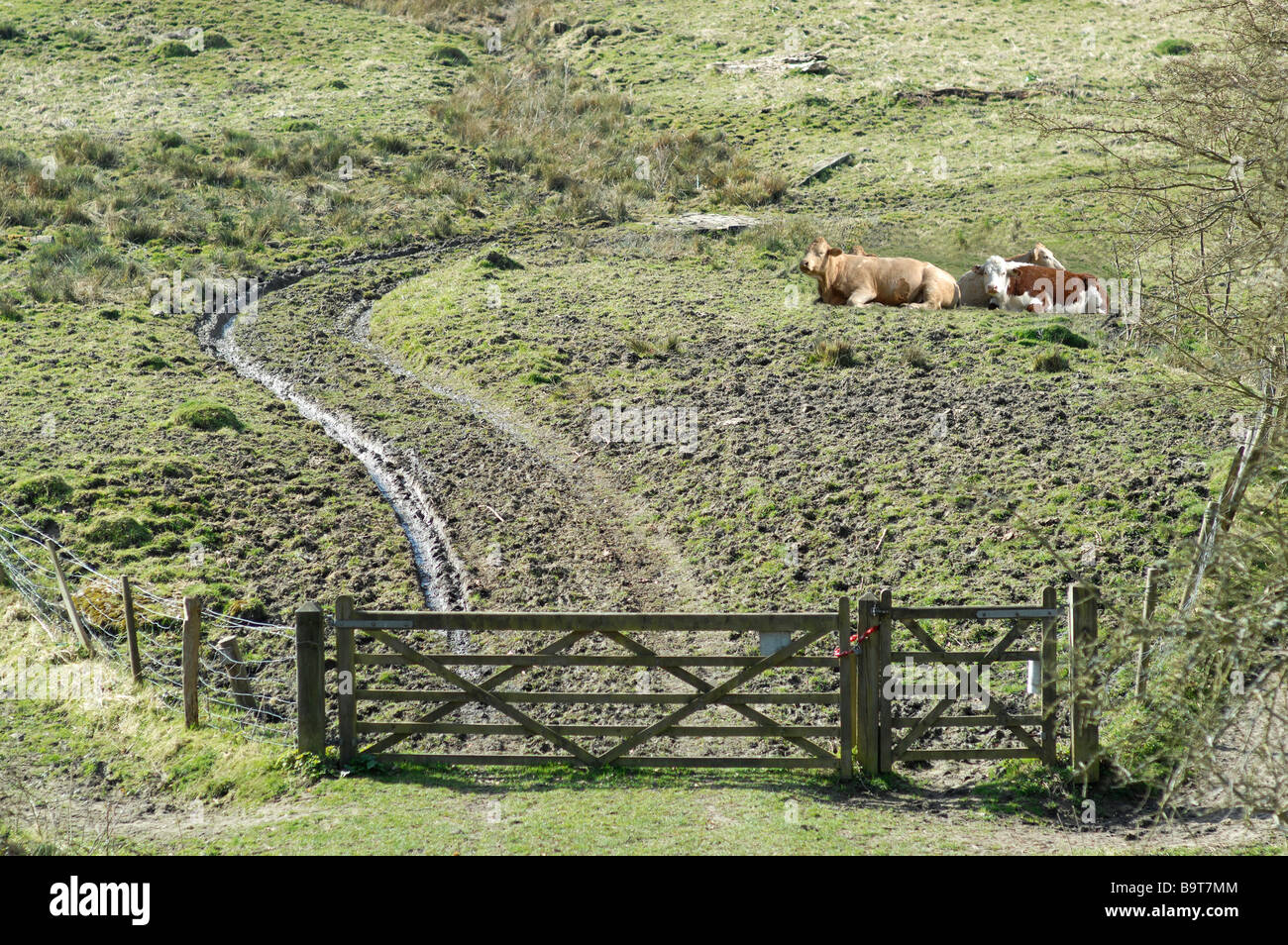 Muddy field entrance hi-res stock photography and images - Alamy