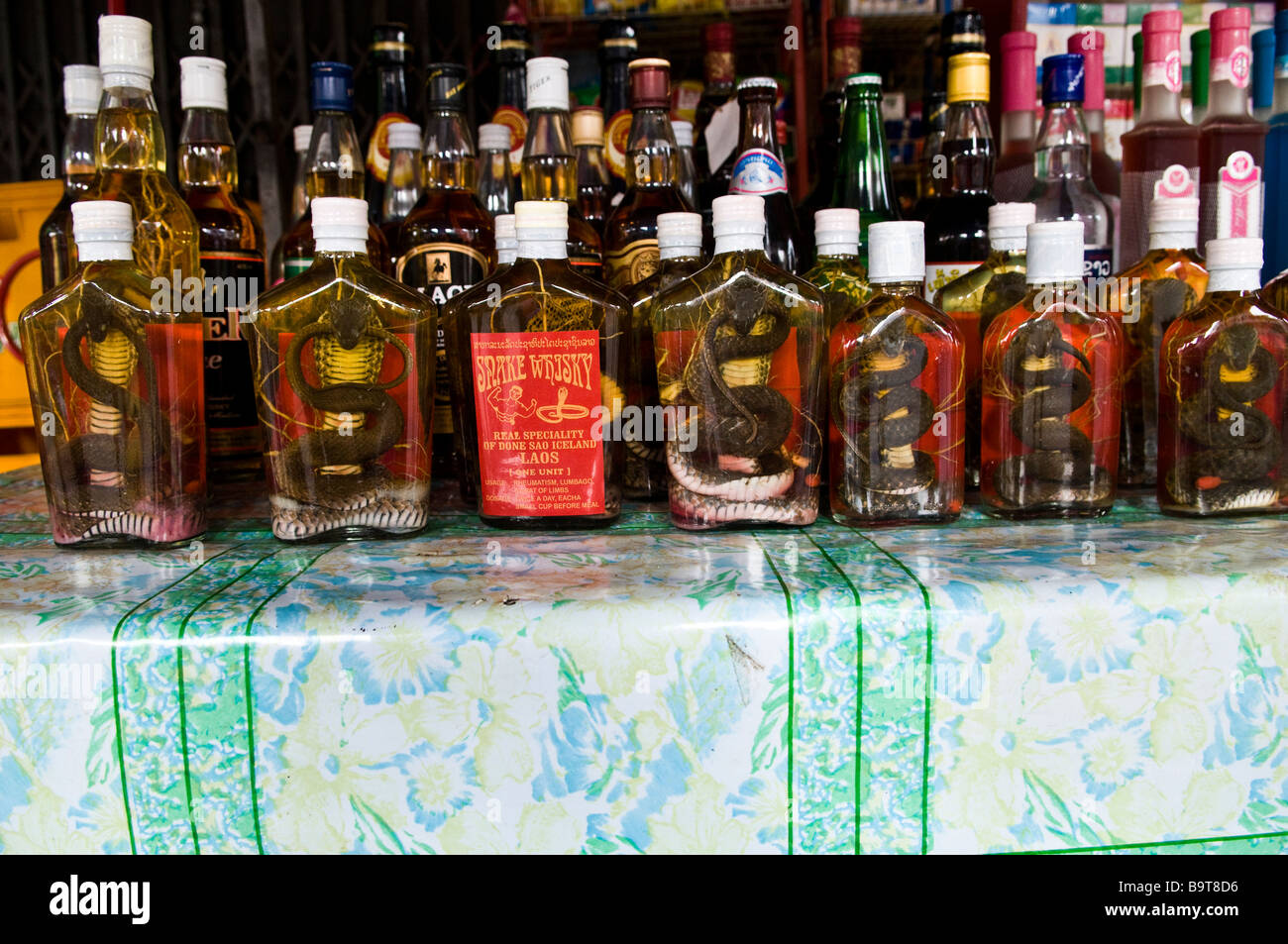 Vietnam snake hi-res stock photography and images - Alamy