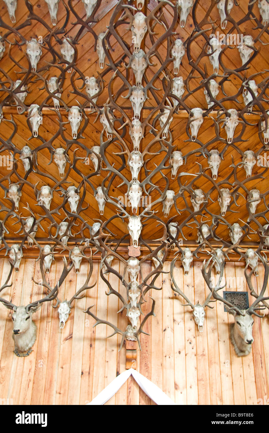 Mar lodge scotland ballroom hi-res stock photography and images - Alamy