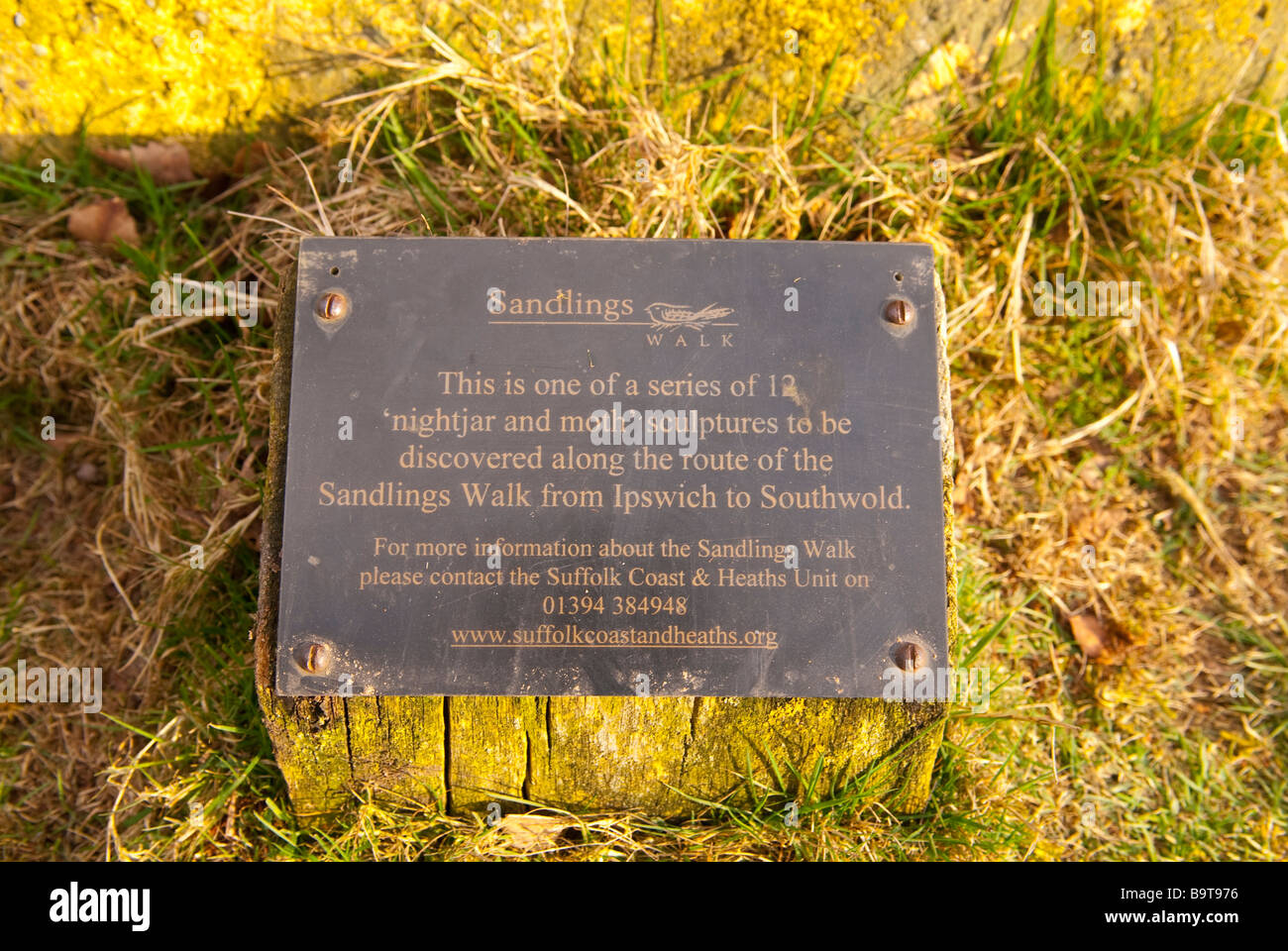 Sandlings Walk High Resolution Stock Photography and Images - Alamy