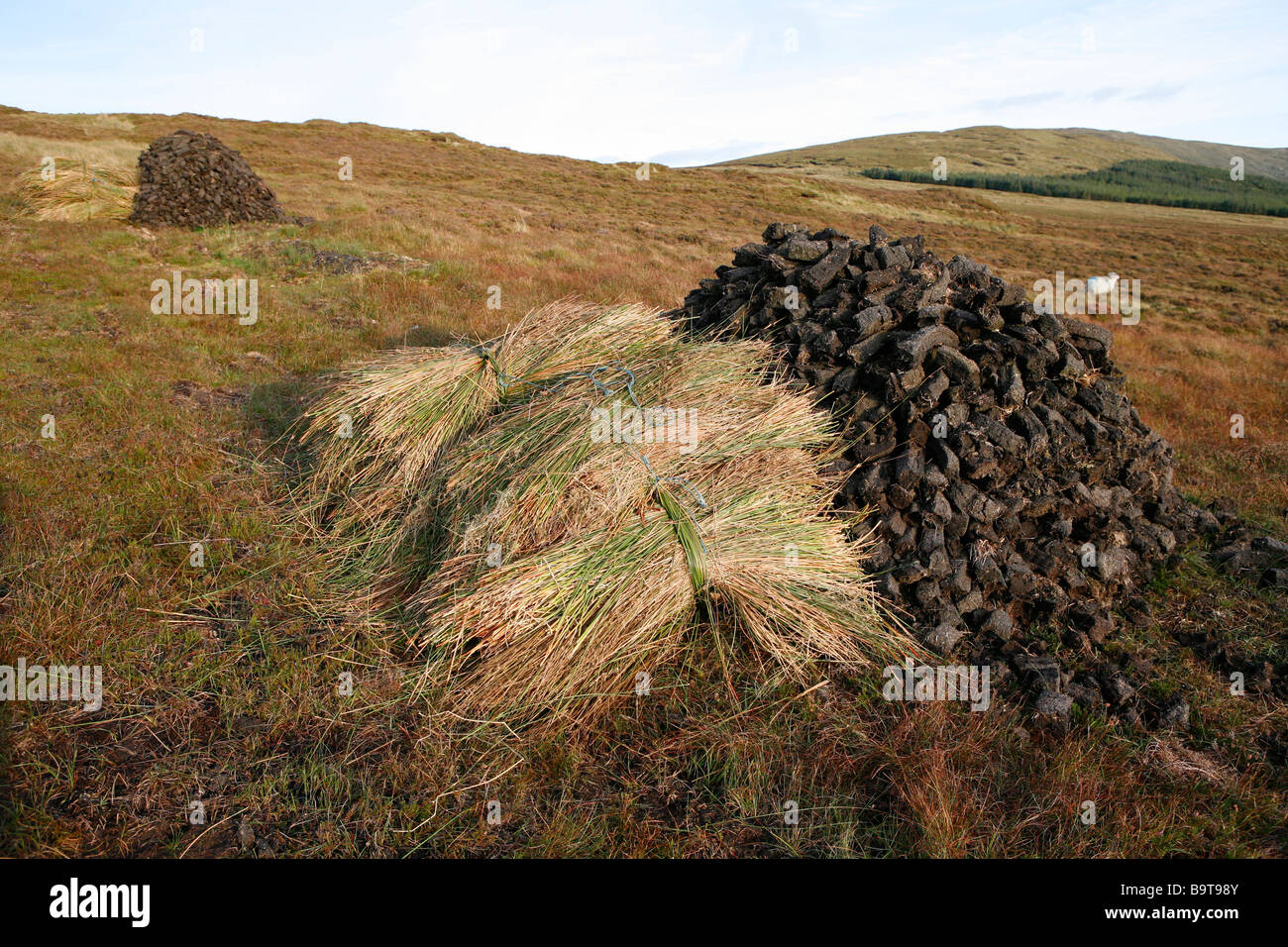 Drying peat, West coast of Donegal, Republic of Ireland Stock Photo - Alamy