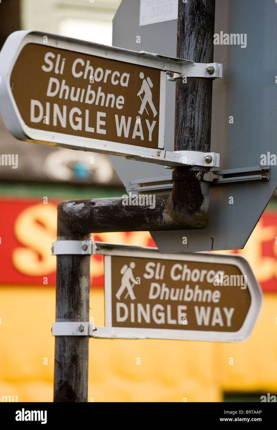 The Dingle Way. Street signs pointing out the Dingle Way walking or ...