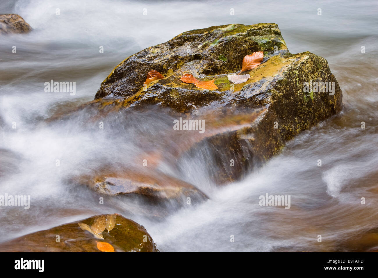 Autumn brook with mini waterfalls flowing in the national park Stock ...