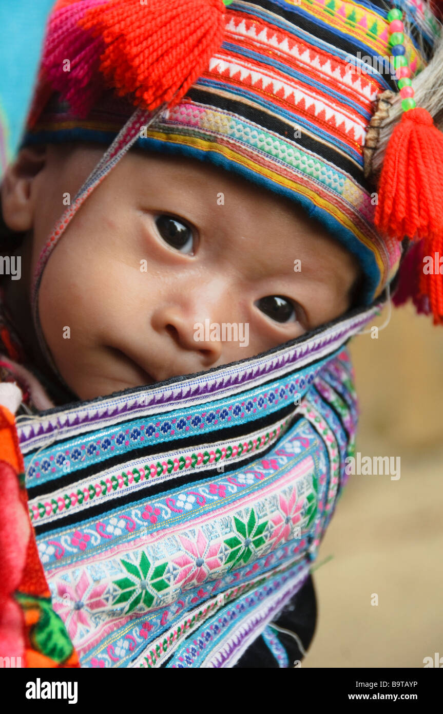 young Hmong baby being carried on his mothers back near Sapa Vietnam ...