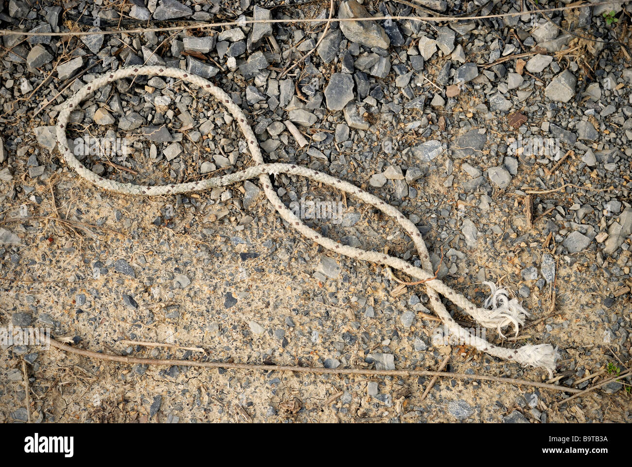 Piece of rope on the ground Stock Photo - Alamy