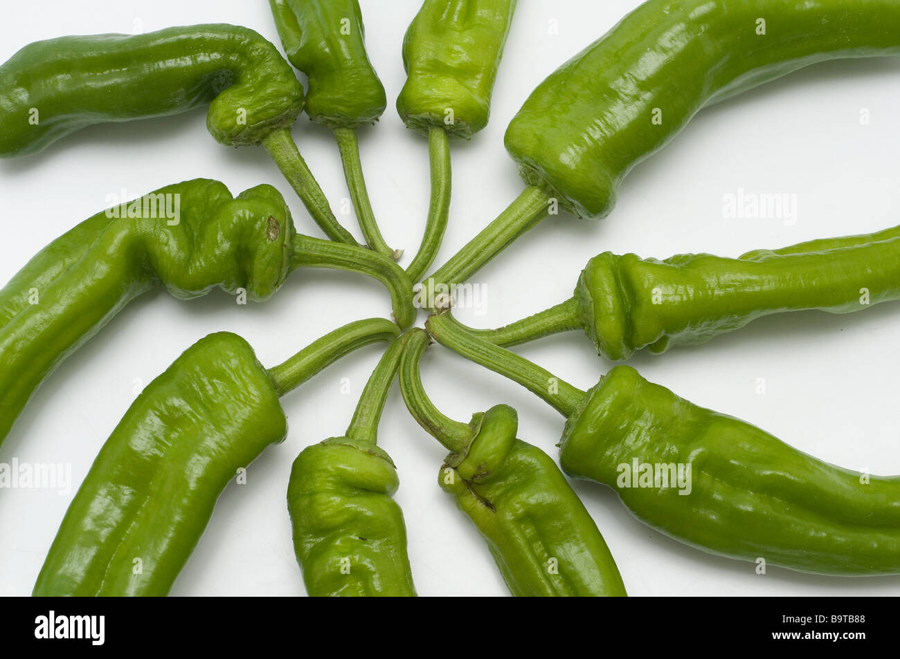 Green pepper vegetable hi-res stock photography and images - Alamy