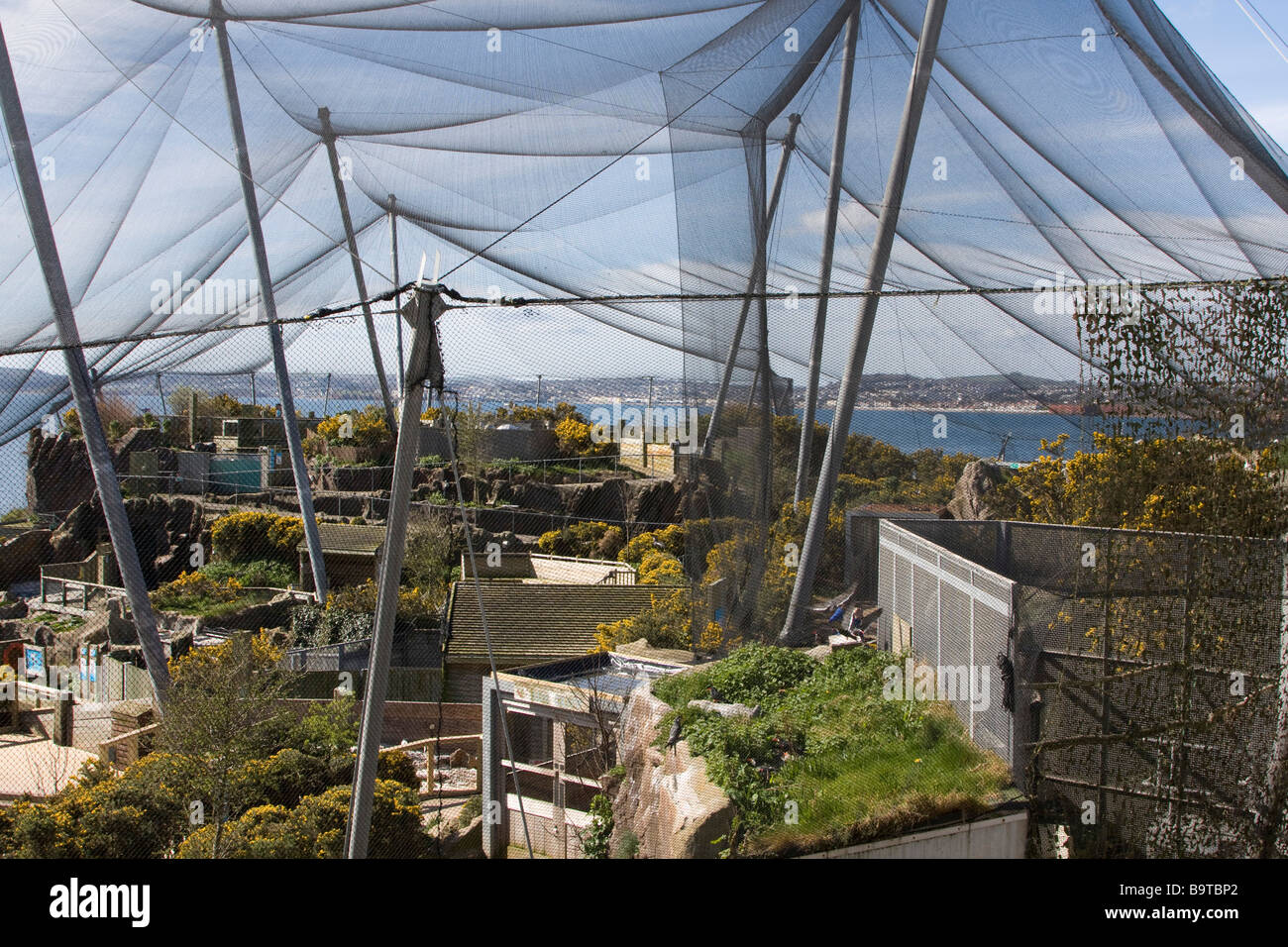 torquay attraction torbay devon england uk gb Stock Photo - Alamy