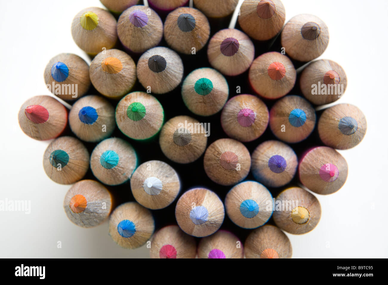 Many pencils Cut Out Stock Images & Pictures - Alamy