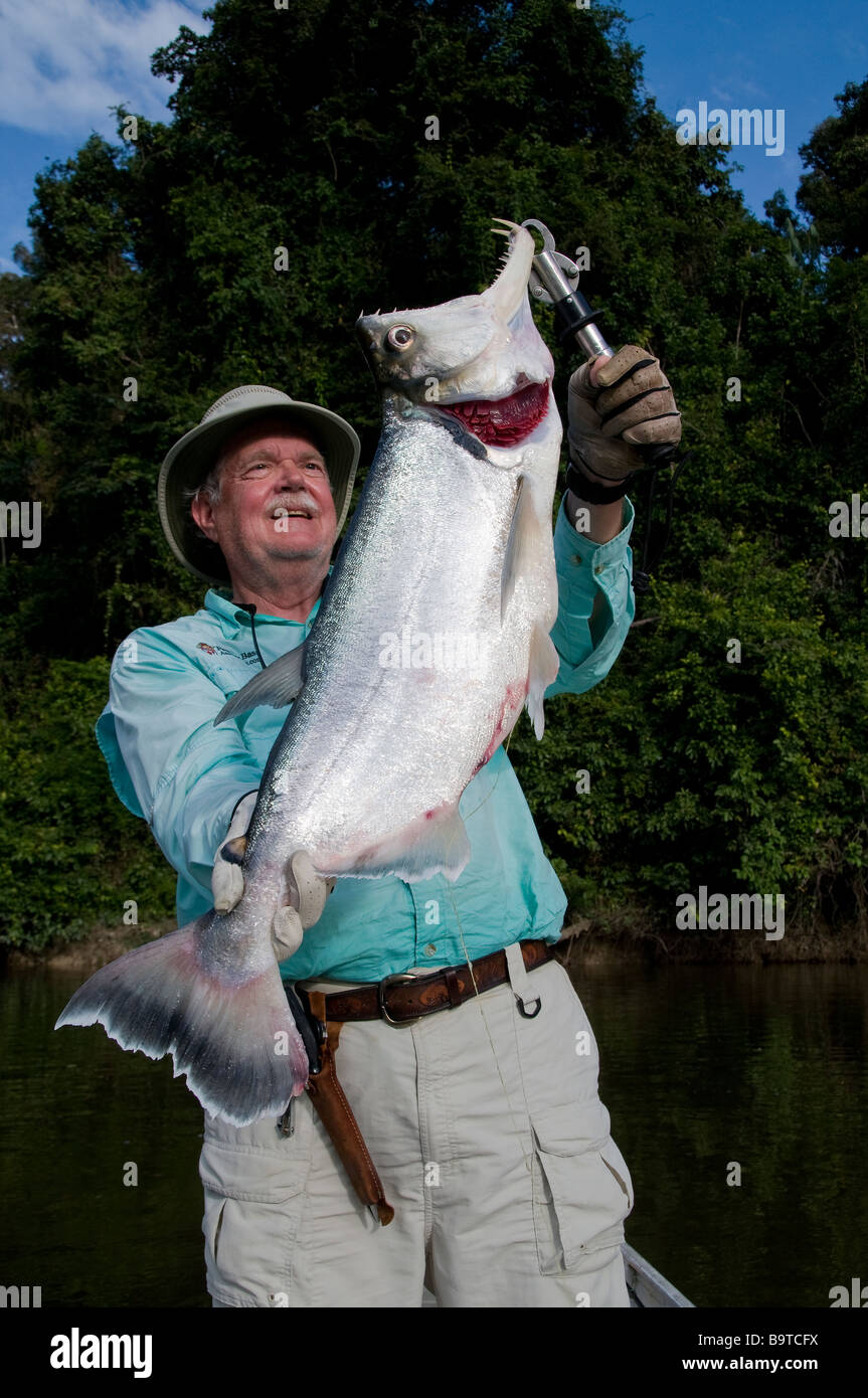 Payara fish hi-res stock photography and images - Alamy
