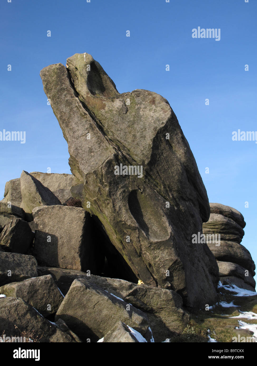 Dolphin rock - gritstone boulder resembling animal's head on Mother Cap ...