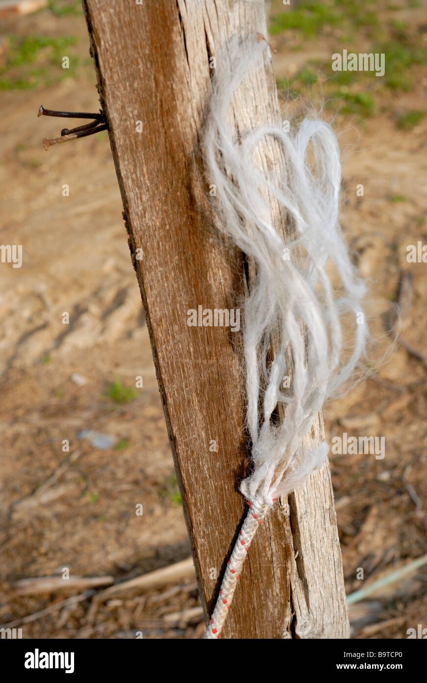 Unraveled rope hi-res stock photography and images - Alamy