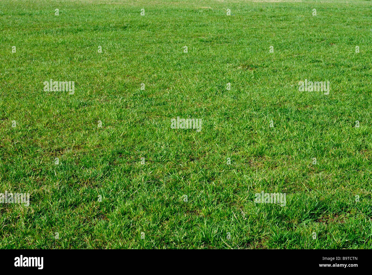 Flat grass field hi-res stock photography and images - Alamy