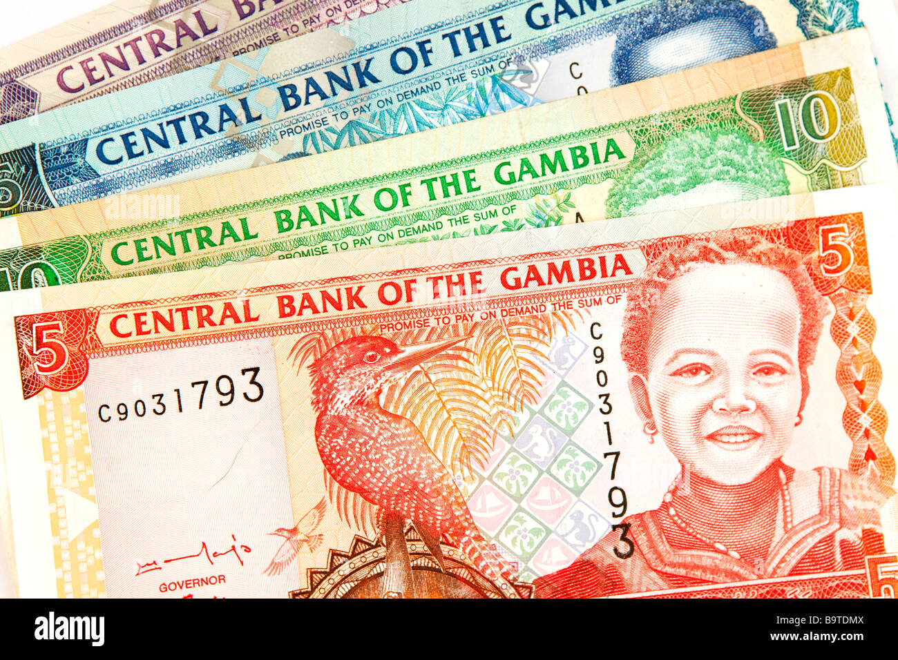 Money African currency selection of Gambian banknotes Stock Photo - Alamy