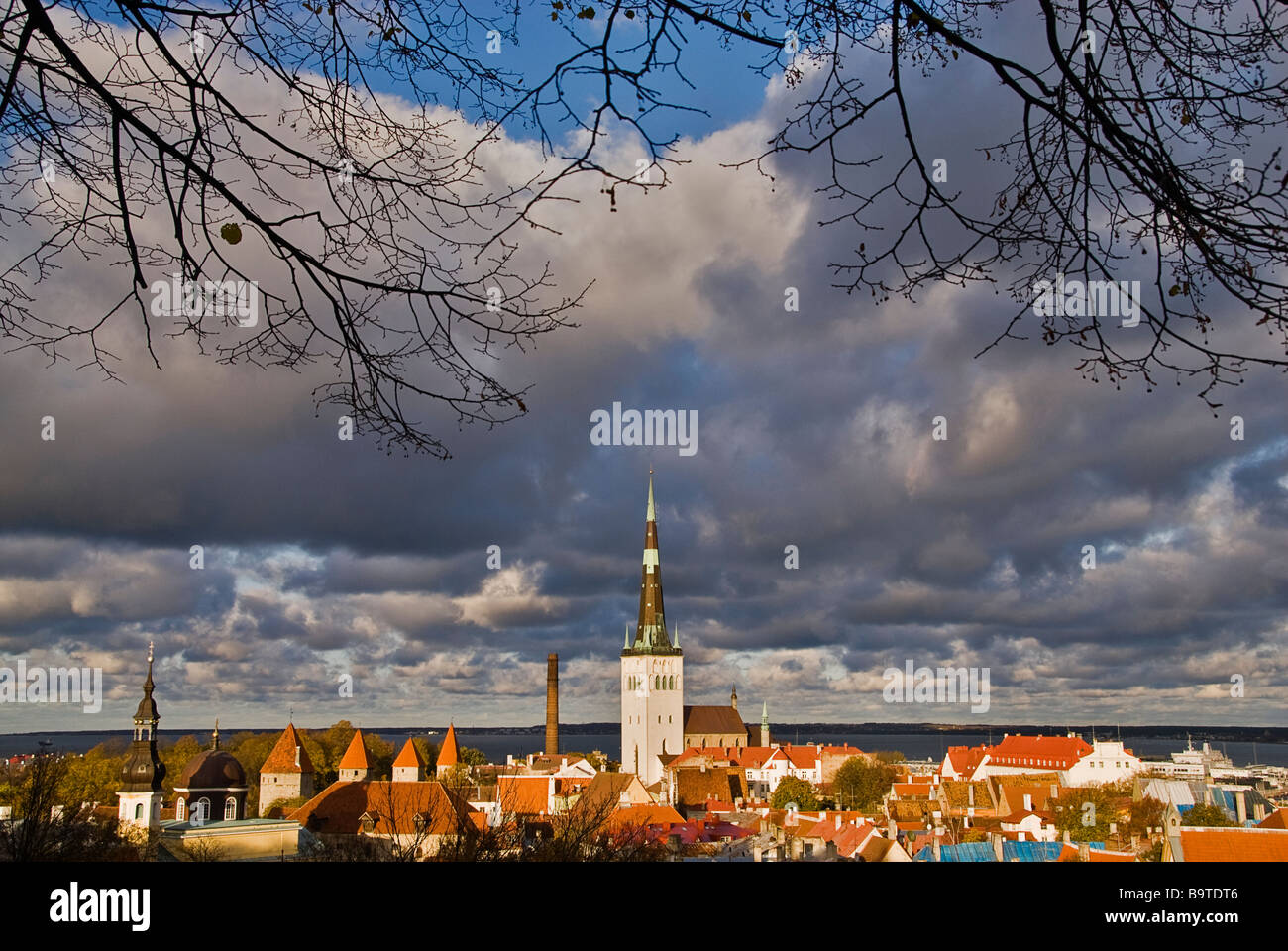 City landscape of Tallin from a viewpoint under the trees during a ...