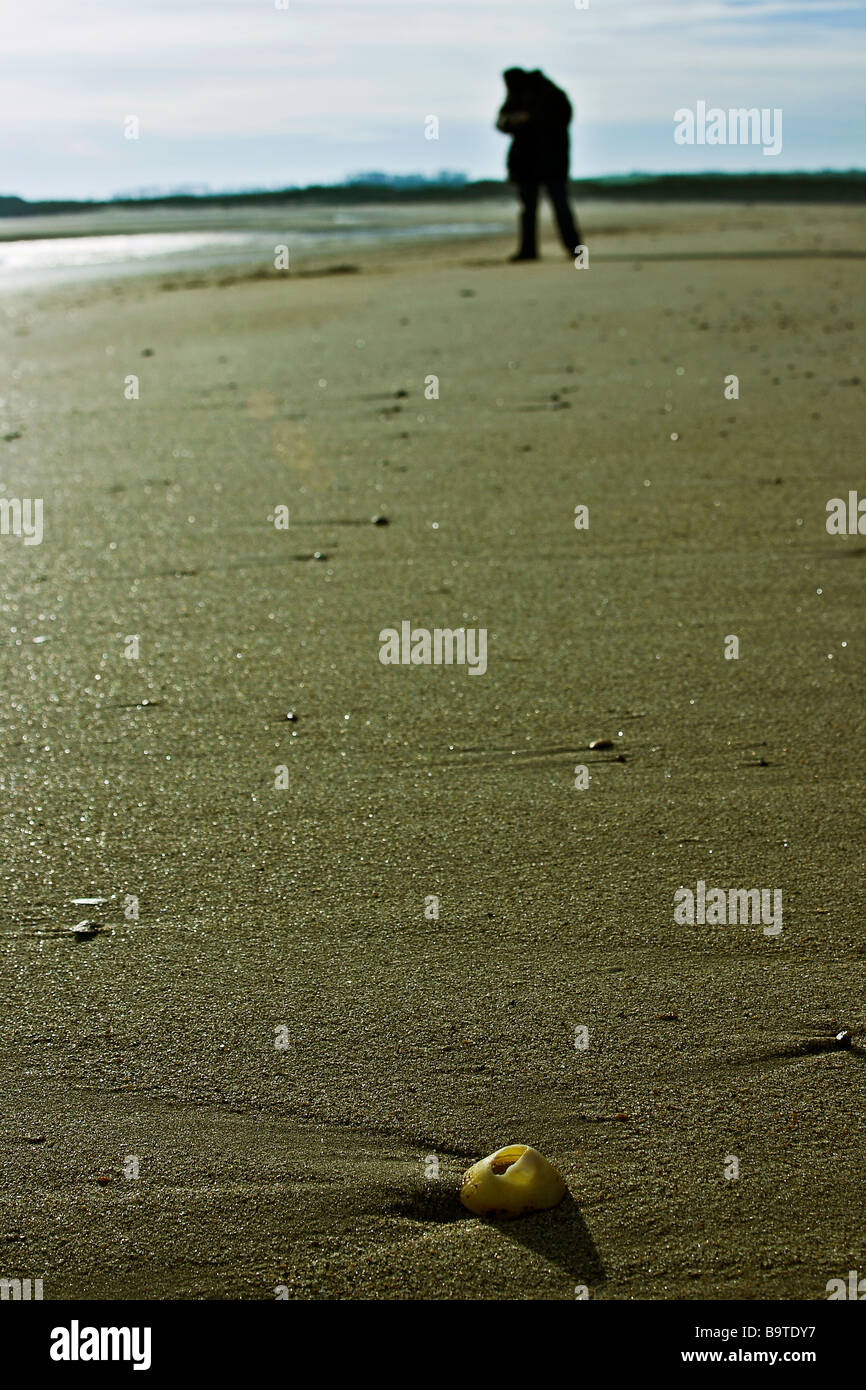 sea shell beach boy Stock Photo - Alamy