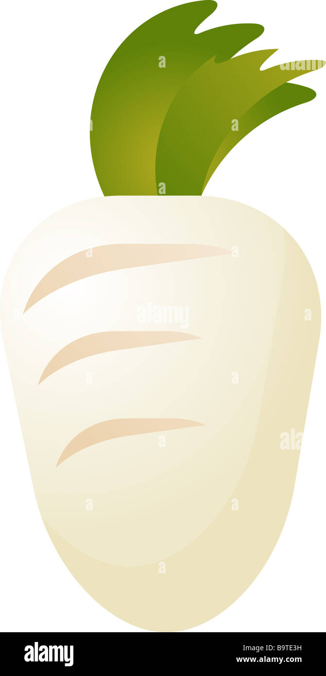 vegetable icon chubby squarish style illustration Stock Photo - Alamy