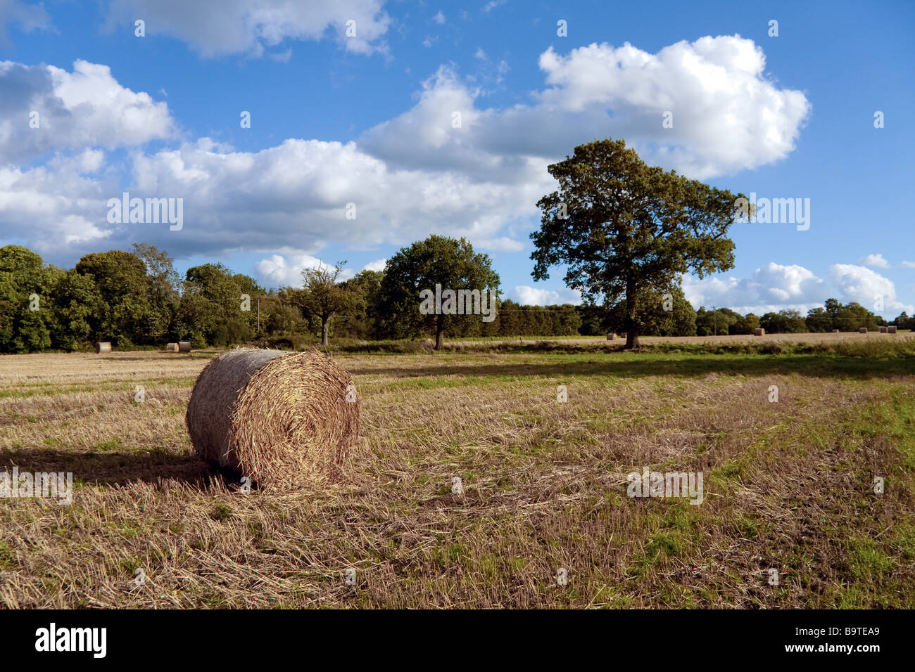 Harvest scene in a field near East Grinstead West Sussex Stock Photo ...