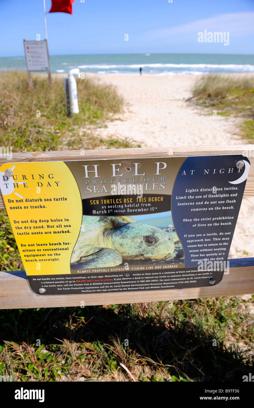 Sea Turtle Warning Sign at Avalon State Park Florida Atlantic East ...