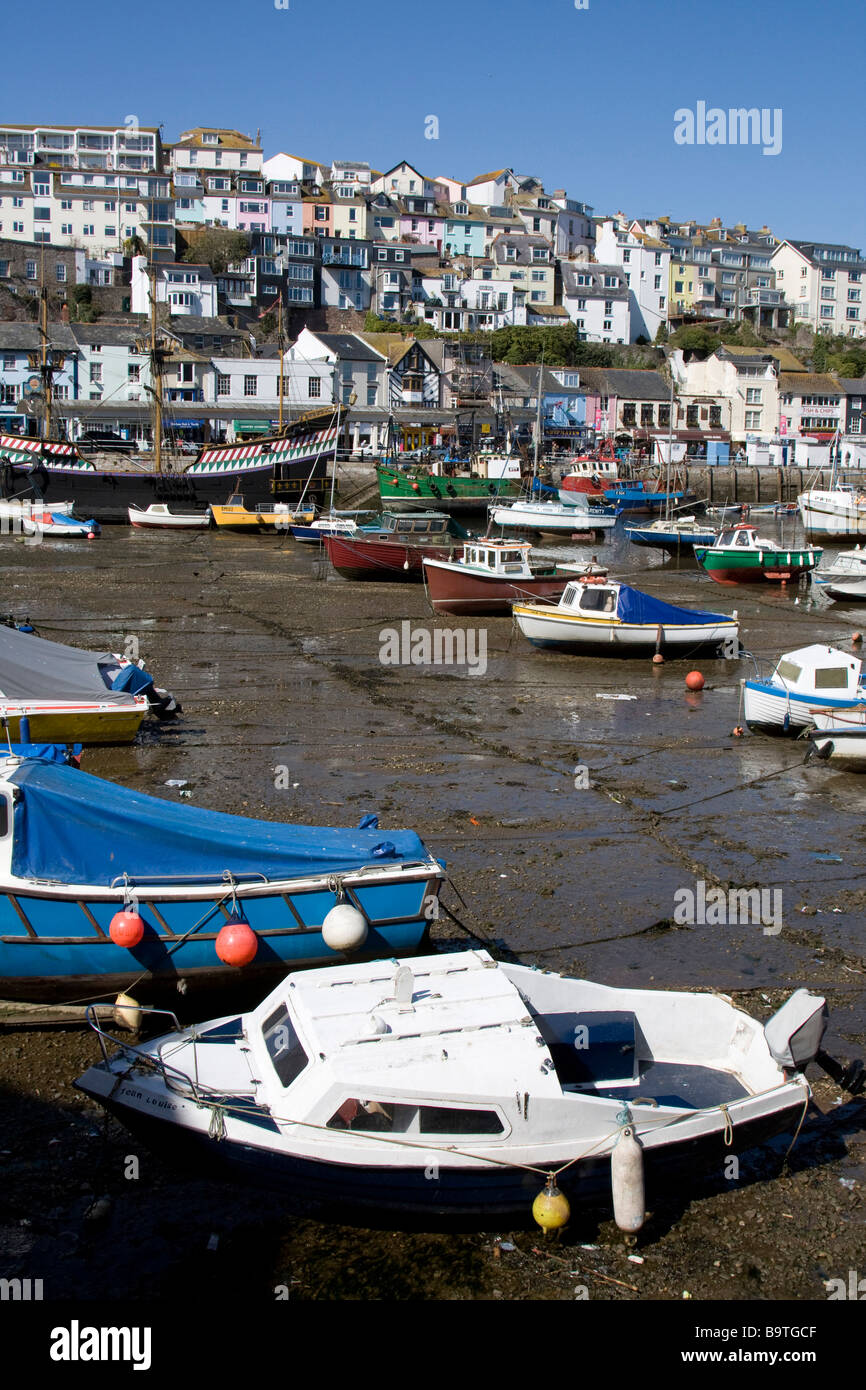 Brixham town centre hi-res stock photography and images - Alamy