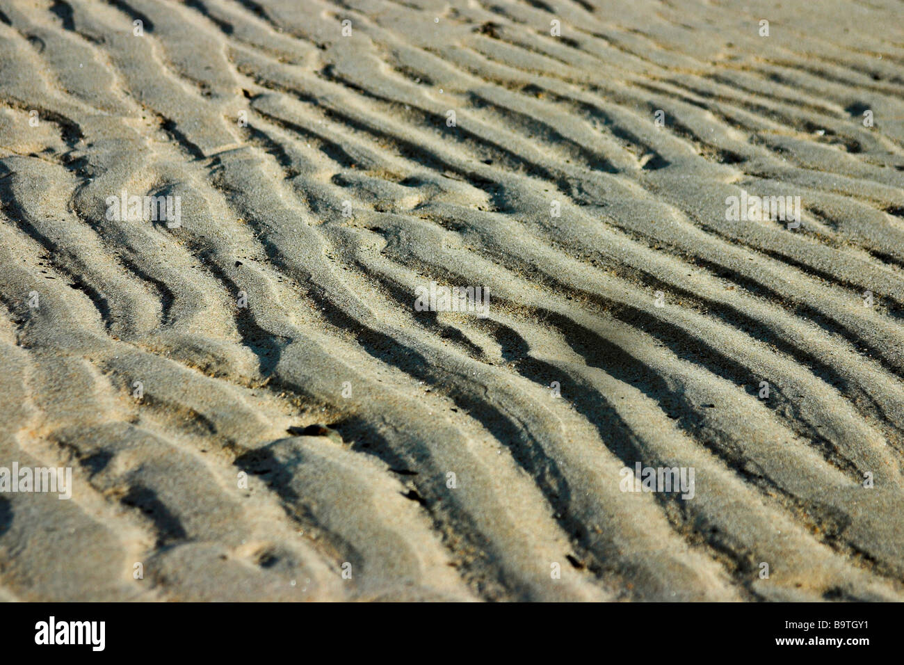 ripples in the sand Stock Photo - Alamy