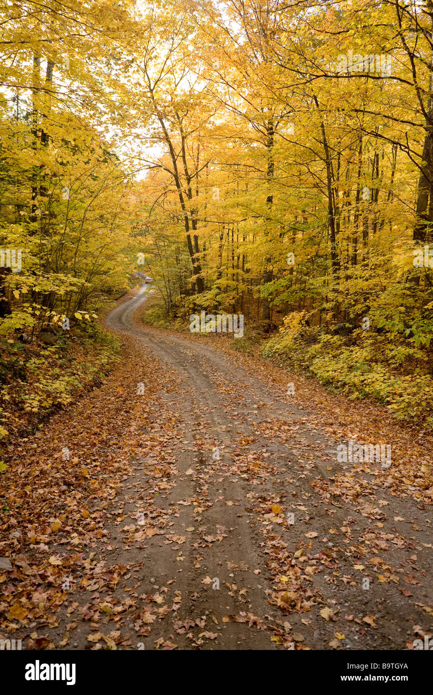 Winding road through the woods in the fall hi-res stock photography and ...