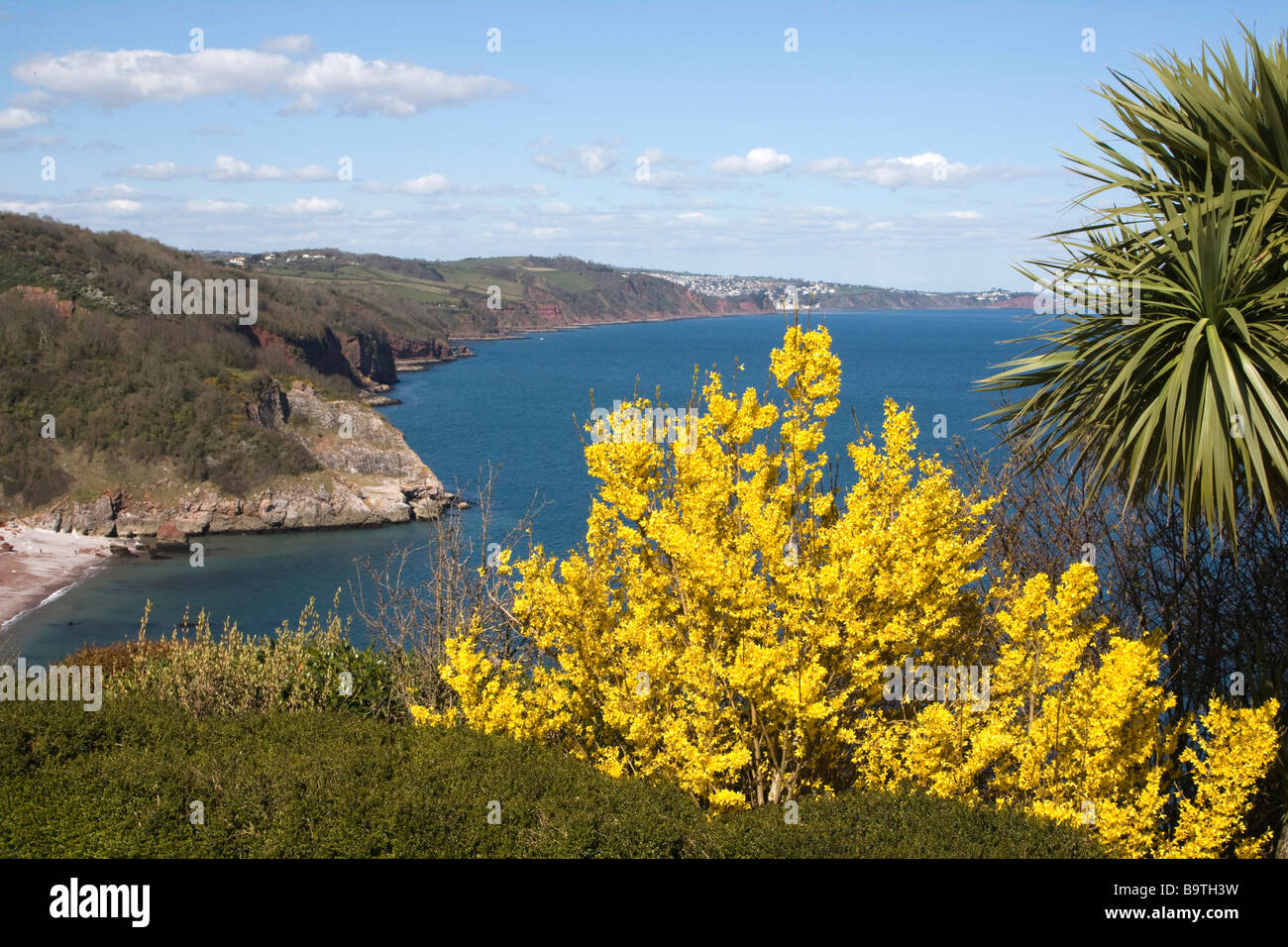 babbacombe bay devon england uk gb Stock Photo - Alamy