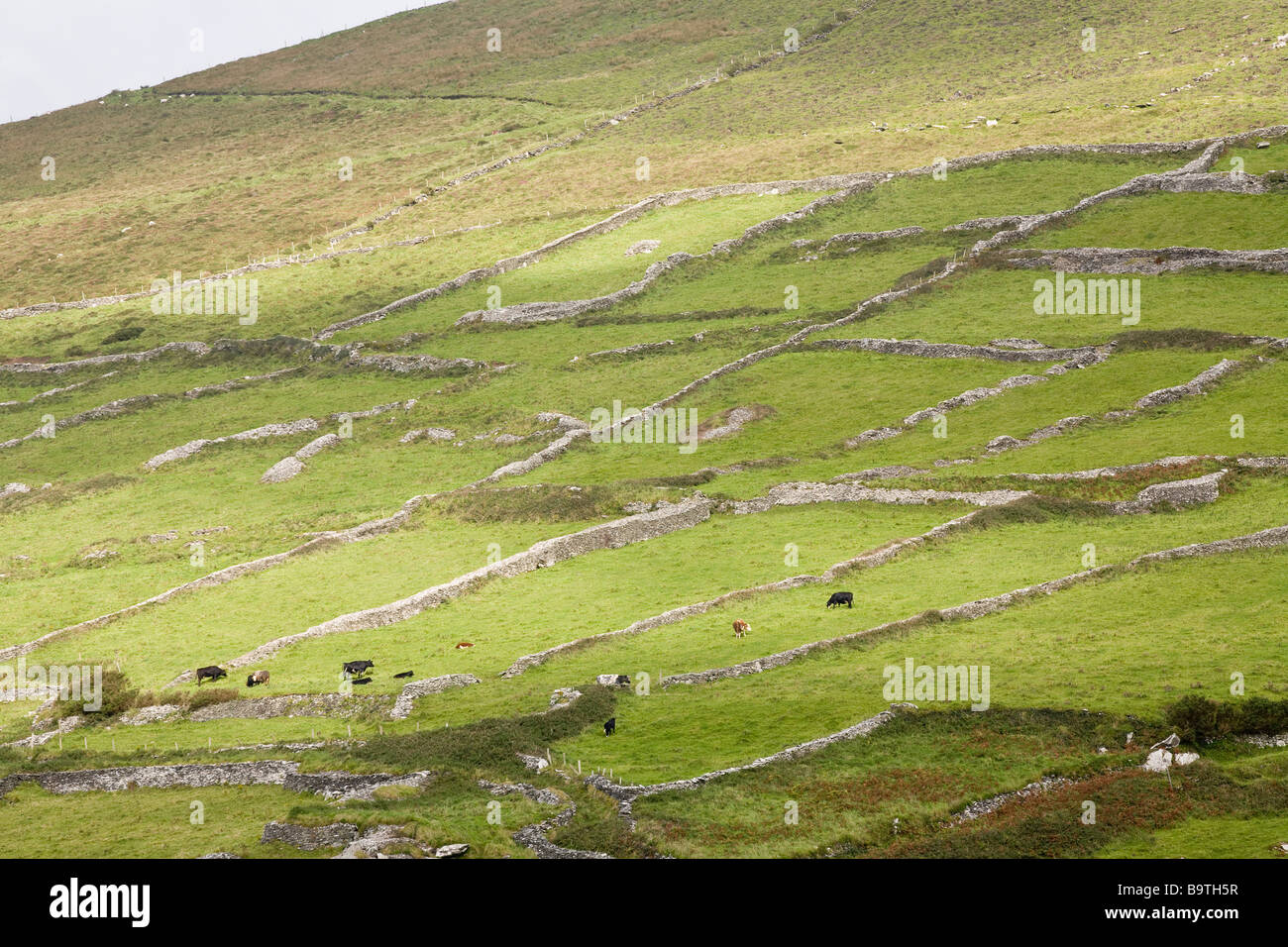 Patchwork cottage hi-res stock photography and images - Alamy